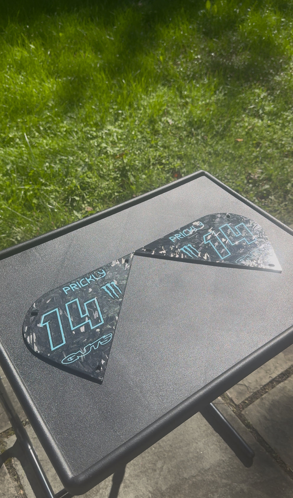 Ridstar Custom Side Panel Set – TripleXCustoms